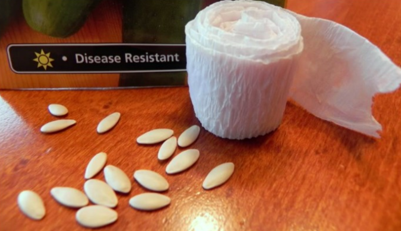 Seed Tape/Seed-Infused Paper