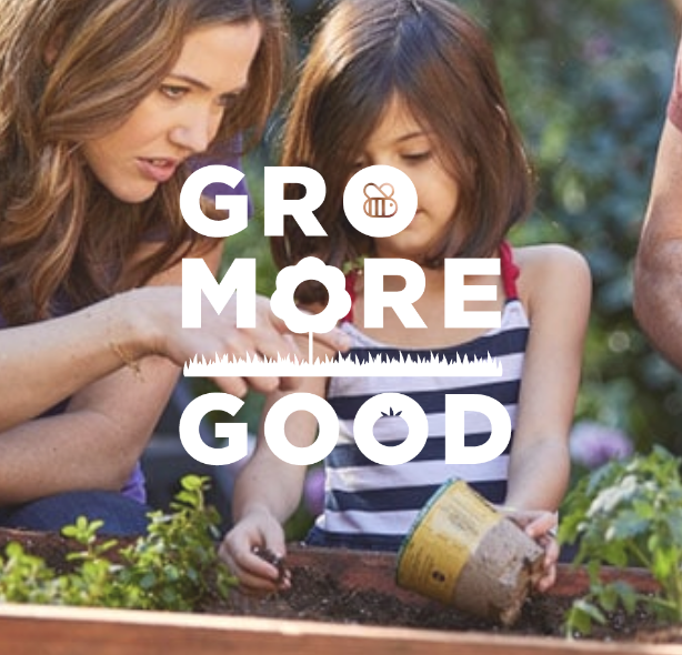 Gro More Good Outdoor Learning Activities for Kids
